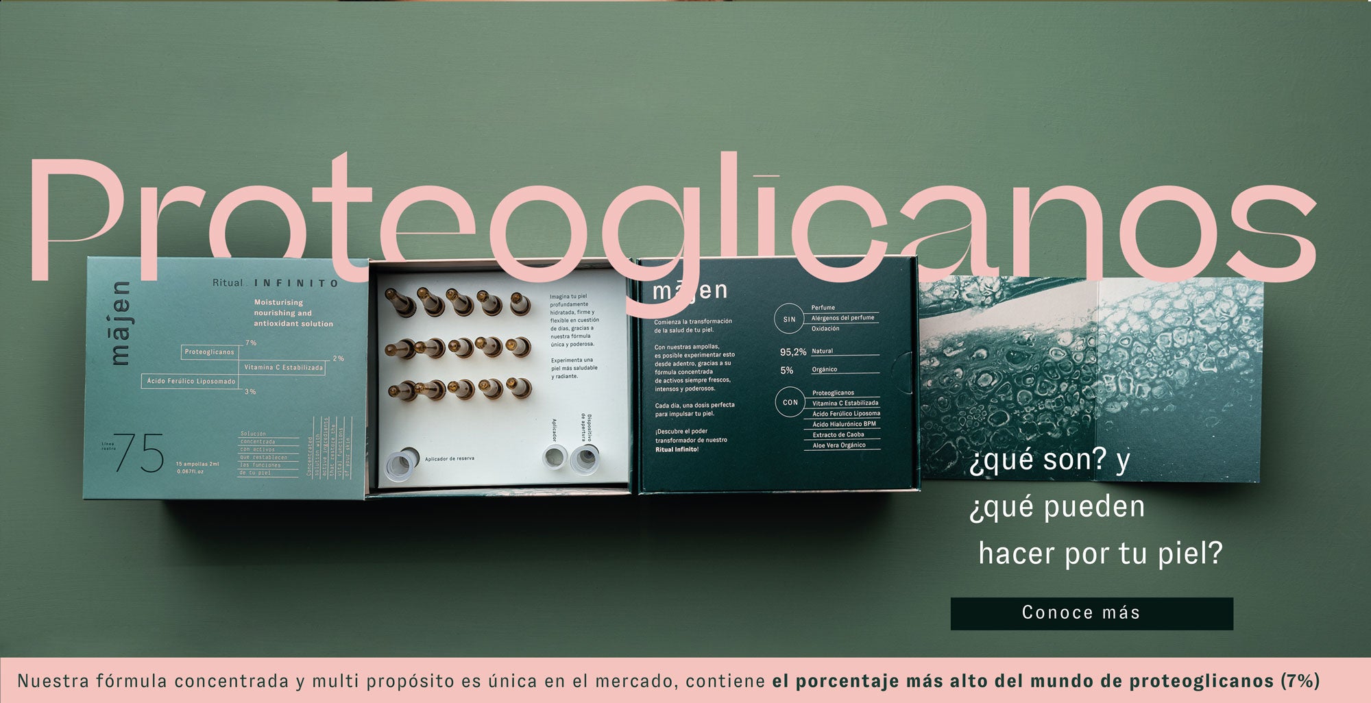 Proteoglicanos. ¿Qué son? y ¿Qué pueden hacer por tu piel? – Majen